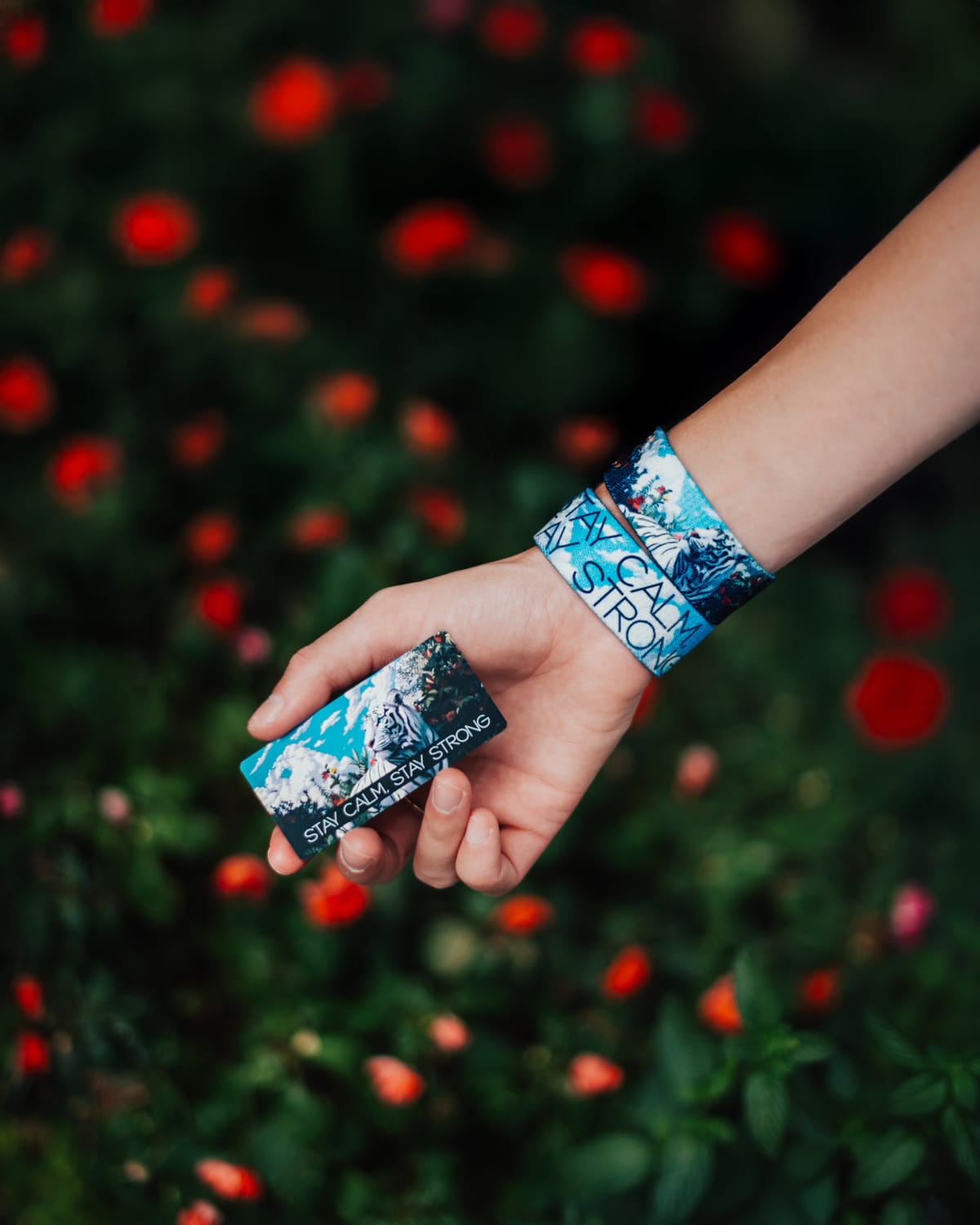 Stay calm, stay strong